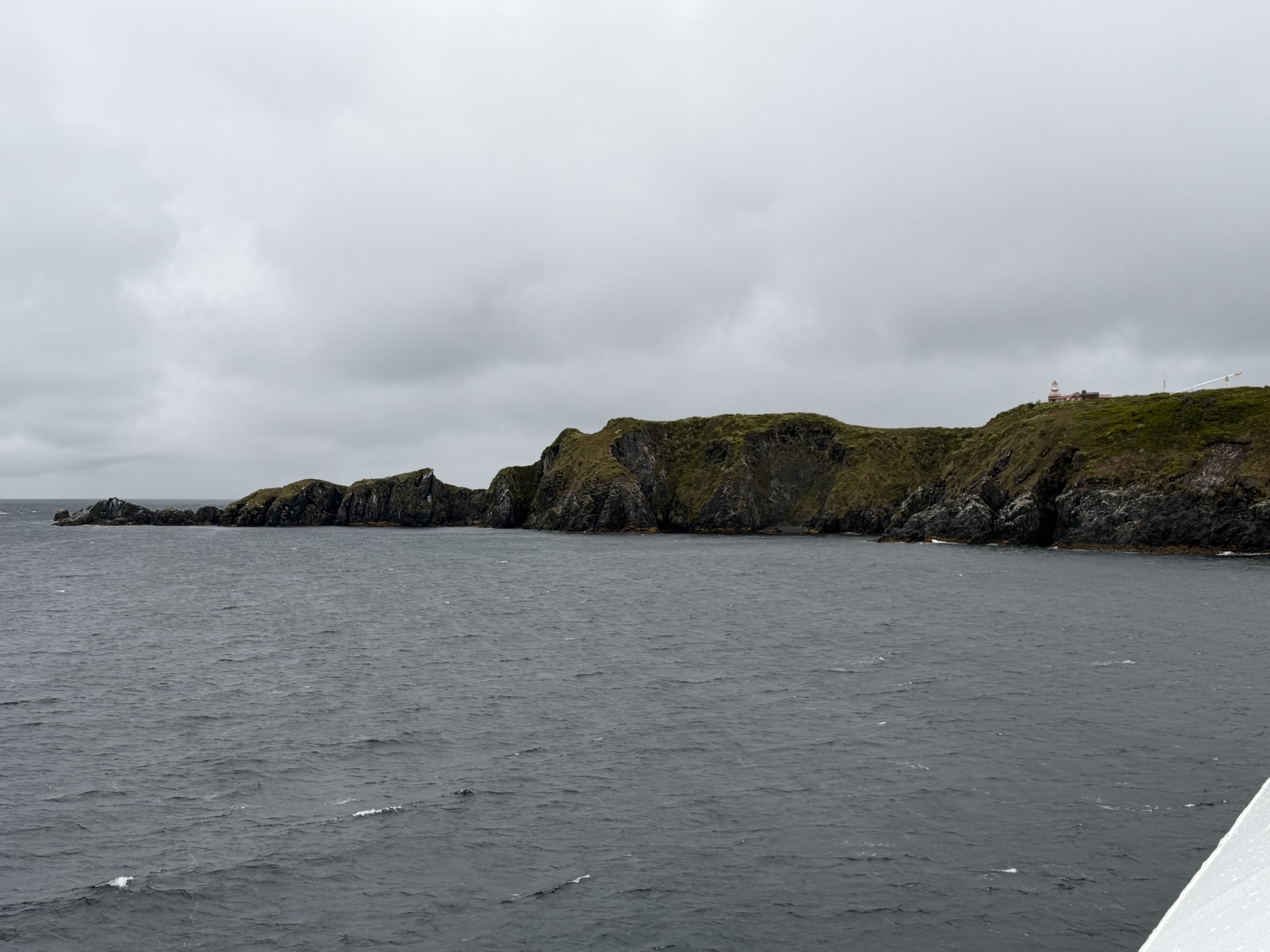 Crossing the Drake Passage – January 17, 2026 | In Retrospect